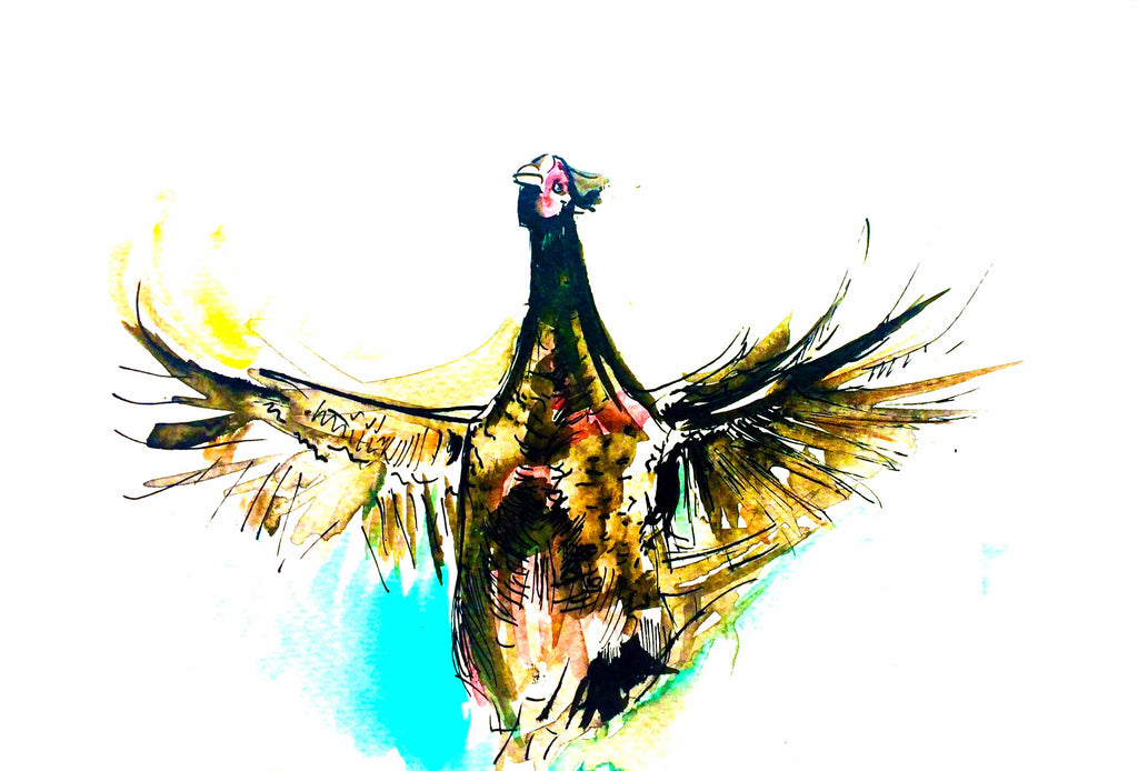 'Pheasant on Parade' - Chloë Tinsley – Chloë Gallery